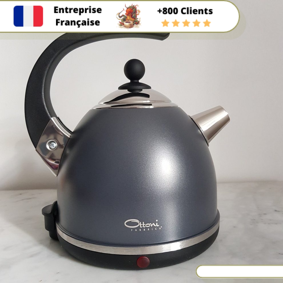 Bouilloire Electrique sans plastique Fabriquée en Europe 1,7L | Mon ...