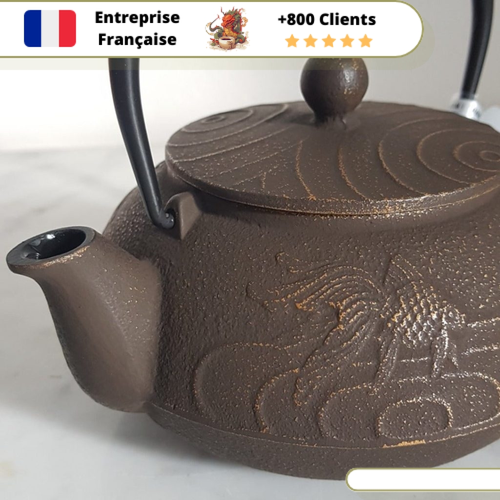 Théière en Fonte Made in Japan Iwachu Kingyo 650ml | Mon Armoire à Thé