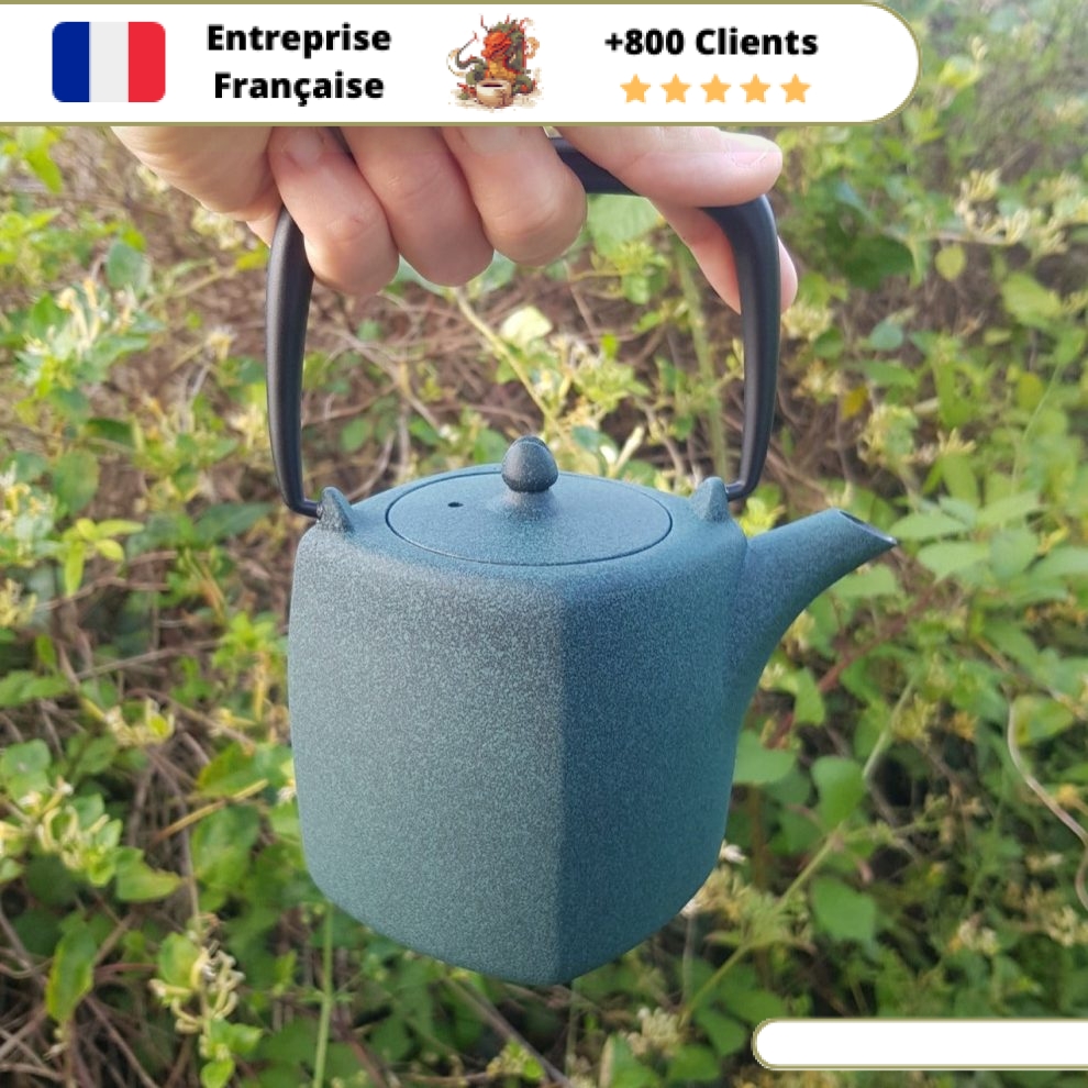 Théière en Fonte Japonaise Moderne Wazuqu Genji 450ml | Mon Armoire à Thé