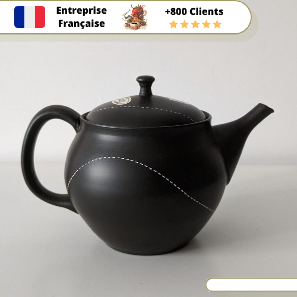 Théière Japonaise Artisanale Hokuryū 540ml | Mon Armoire à Thé