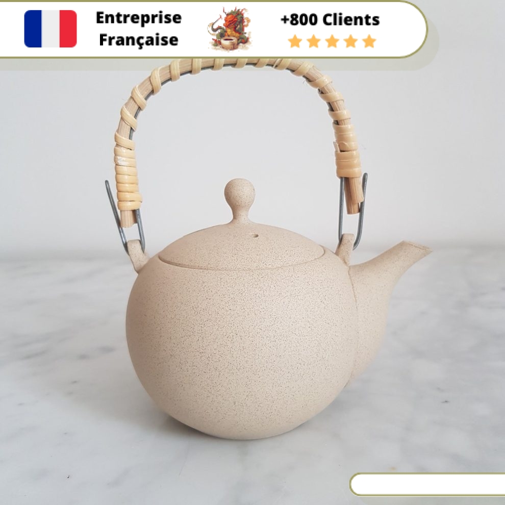 Théière Japonaise Uwade Kyusu Tokoname 280ml | Mon Armoire à Thé